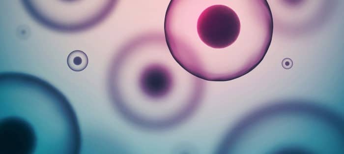 Brain Anti-Aging, Stem Cells, Alert, Longer Life, Stem Cell Treatment ...